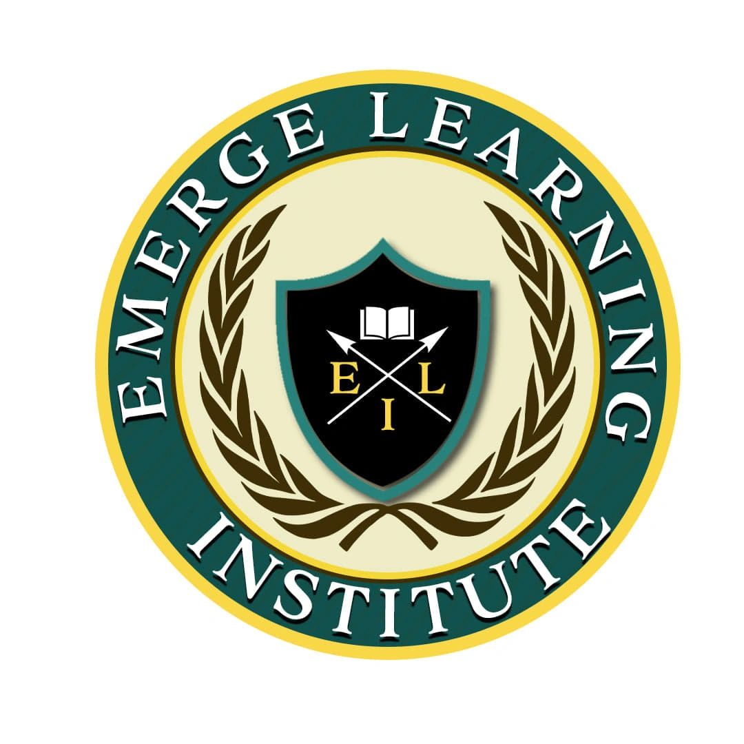 Emerge Learning Institute Llc
